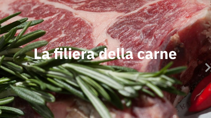 La filiera della carne by Michele Olcese on Prezi