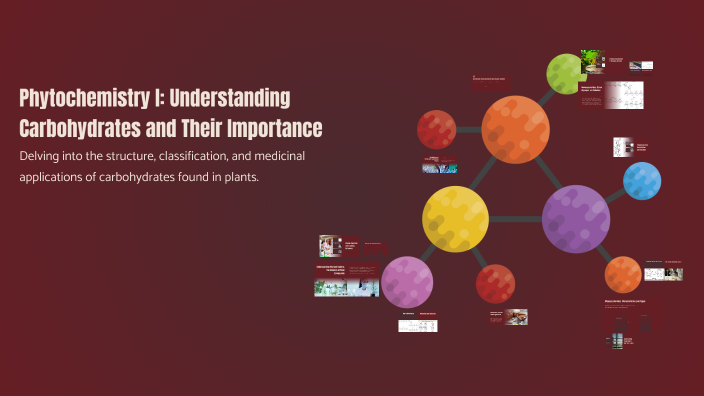 Phytochemistry I: Understanding Carbohydrates and Their Importance by ...