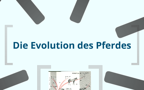 Die Evolution des Pferdes by Franziska Roth