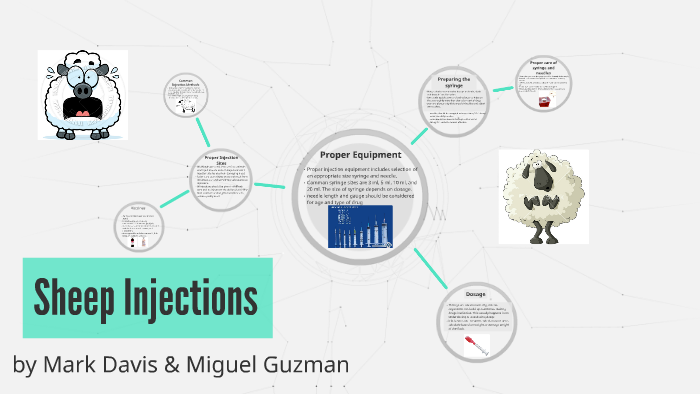 Sheep Injections by miguel Guzman on Prezi