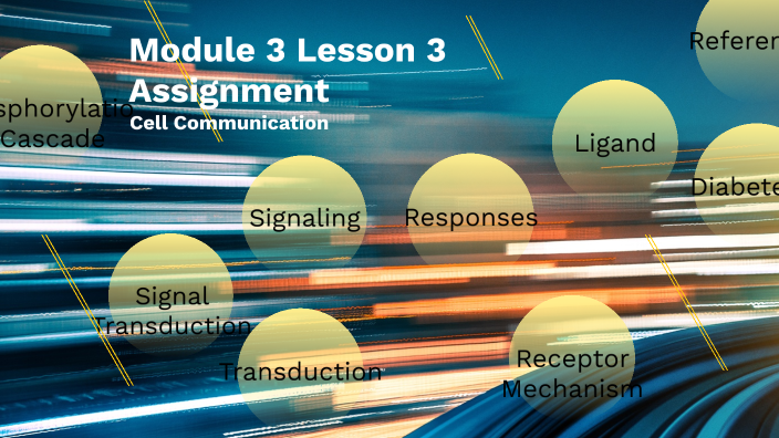 Module 3 Lesson 3 Assignment by Isabel Ummini on Prezi