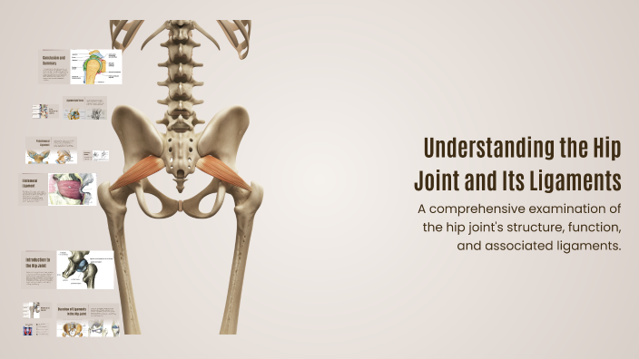 Understanding the Hip Joint and Its Ligaments by Sara on Prezi