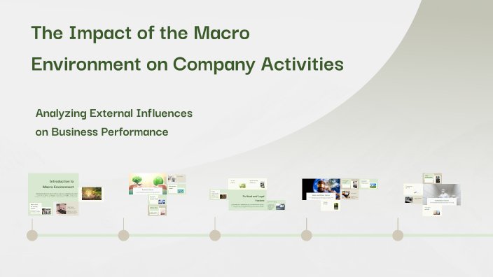 The Impact of the Macro Environment on Company's Activities by Karina ...