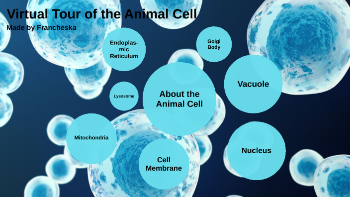 Virtual Tour of the Animal Cell by Francheska Donato on Prezi