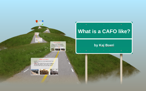 How does a CAFO work? by Kaj Boeri on Prezi