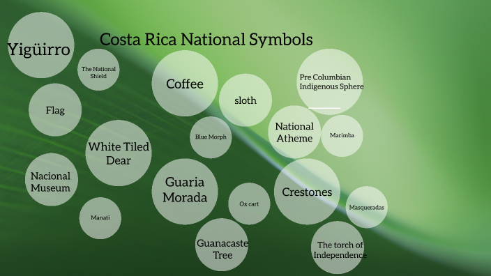 Costa Rica Nacinal Symbols by Paula Naomy Steele Mena on Prezi