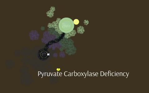 Pyruvate Carboxylase Deficiency by Keami Sullivan on Prezi