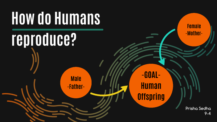How do humans reproduce by Prisha Sedha on Prezi