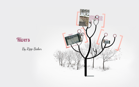 Wildlife Presentation by ripp baker on Prezi