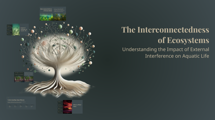 The Interconnectedness of Ecosystems by GABRIEL DAVE LLOSALA on Prezi