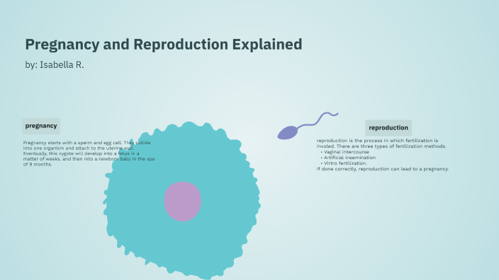 Pregnancy And Reproduction Explained By Isabella Ronzoni On Prezi
