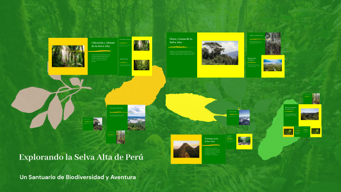 Explorando la Selva Alta de Perú by Carlos Camargo on Prezi