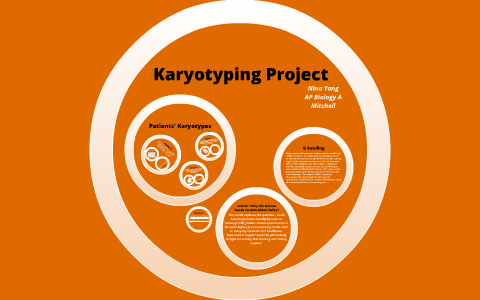 Karyotypes Project by Nina Yang on Prezi