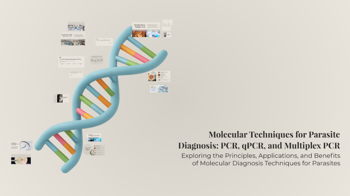 Molecular Techniques for Parasite Diagnosis: PCR, qPCR, and Multiplex ...