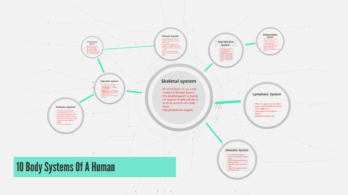10 Body Systems Of A Human by Waleed Fahel on Prezi