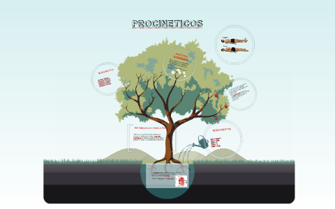 PROCINETICOS by valeria rodriguez on Prezi