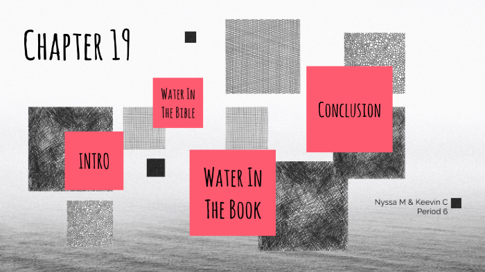 The Scarlet Letter Chapter 19 by Nyssa Munoz on Prezi