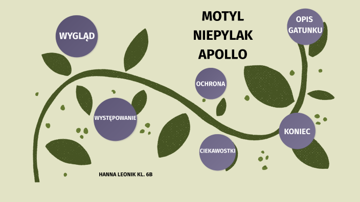 MOTYL NIEPYLAK APOLLO by Hanna Leonik on Prezi