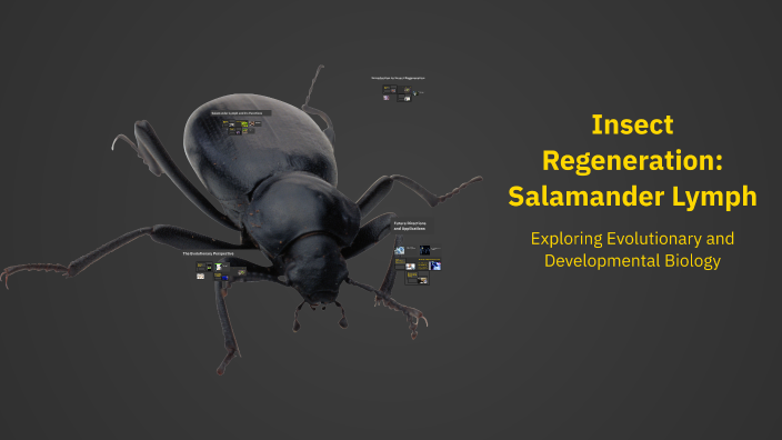 Insect Regeneration: Salamander Lymph by Aarti Narwat on Prezi