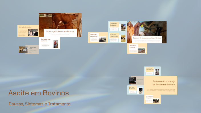 Ascite em Bovinos by EVELLYN DA SILVA RIBEIRO on Prezi