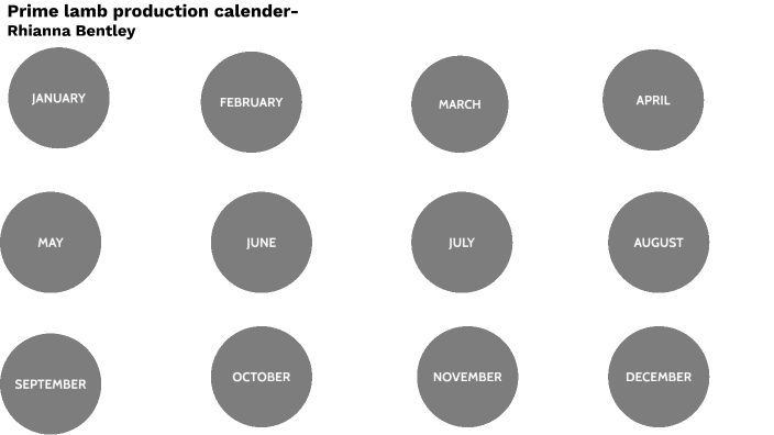 Prime lamb production calender by rhi bentley on Prezi