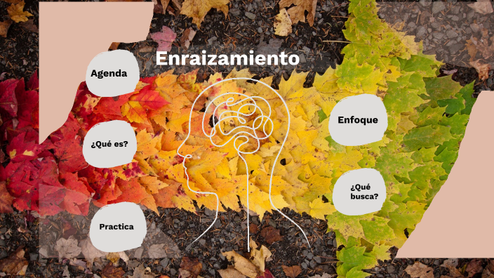 Enraizamiento by stephany za on Prezi