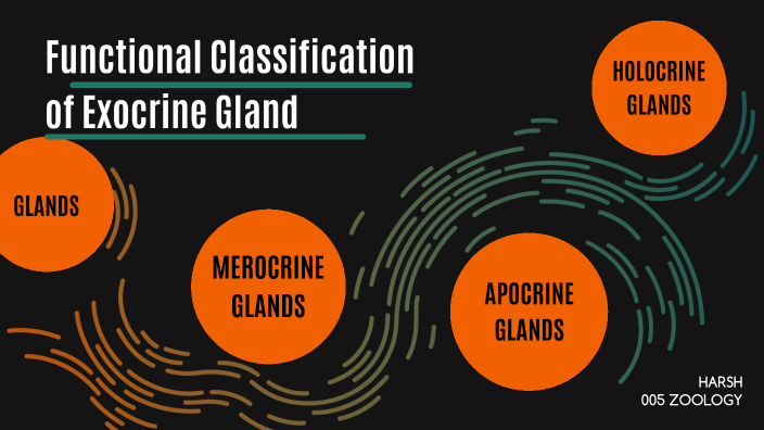 Functional Classification of Exocrine Gland by Harsh Sharma on Prezi