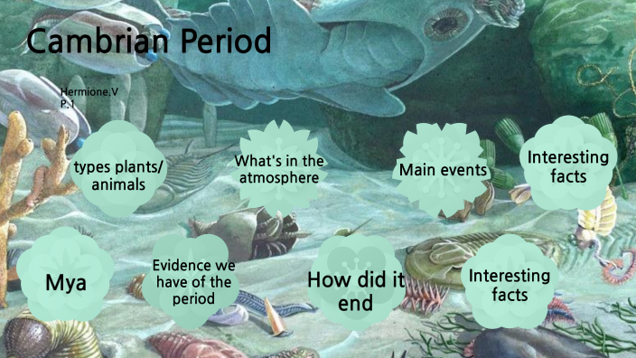 Cambrian Period by Hermione Valenzuela-Beltran on Prezi