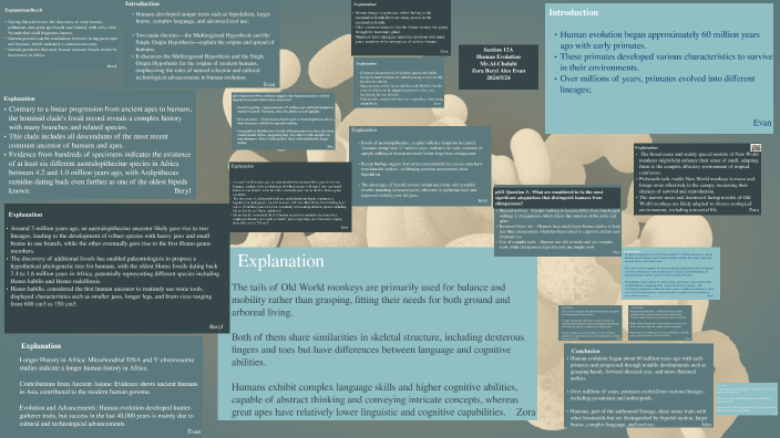 The Story of Human Evolution by on Prezi