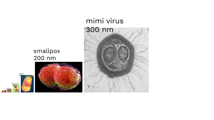virus size comparison by Colin Gaudreau on Prezi