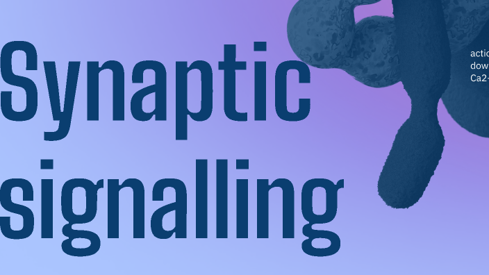Synaptic Signalling by Flora Falusy on Prezi