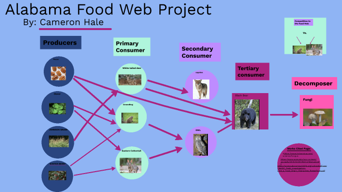 Cameron Hale Alabama Food Web Project by Cameron Hale on Prezi