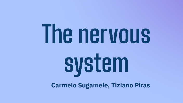 Nervous system by Carmelo Sugamele on Prezi
