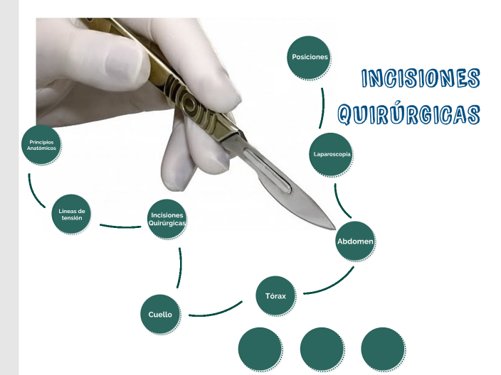 Incisiones Quirúrgicas by Paula Deleon on Prezi