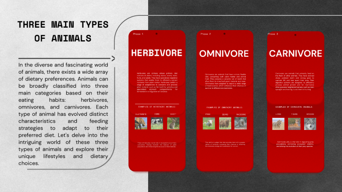 THREE MAIN TYPES OF ANIMALS by Jeneth Belen on Prezi