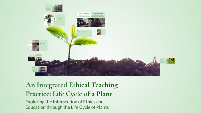 An Integrated Ethical Teaching Practice: Life Cycle of a Plant by Nuhaa ...