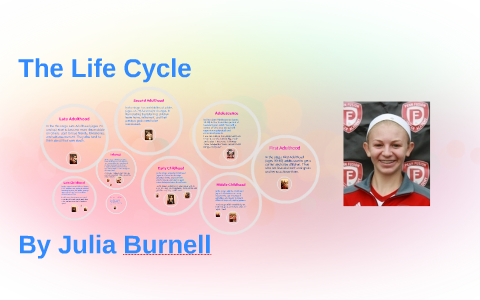 The Human Life Cycle by julia burnell on Prezi