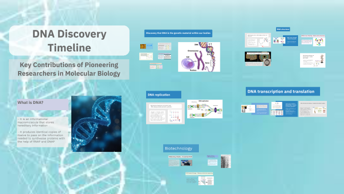 DNA Discovery Timeline by Audrey Lee on Prezi