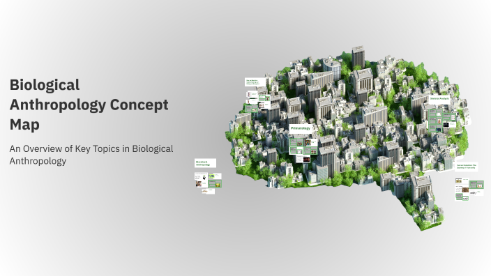 Biological Anthropology Concept Map by Mitchell Shadwick on Prezi