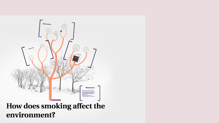 How do cigarettes affect the environment by Lilly O'Hagan on Prezi