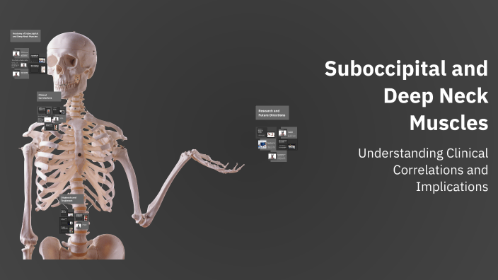 Suboccipital and Deep Neck Muscles by Suraj Kotkar on Prezi