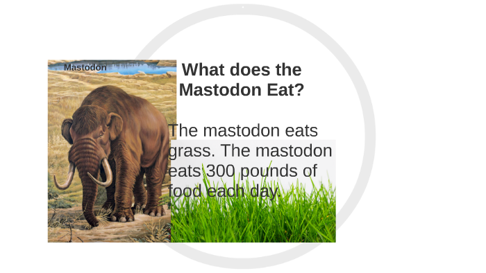 What does the Mastodon Eat? by marla berlin on Prezi