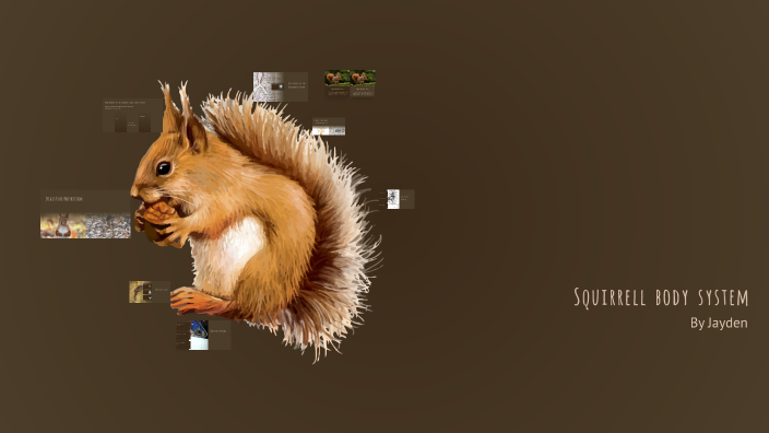 Exploring Squirrel Body Systems by Jayden Koge on Prezi