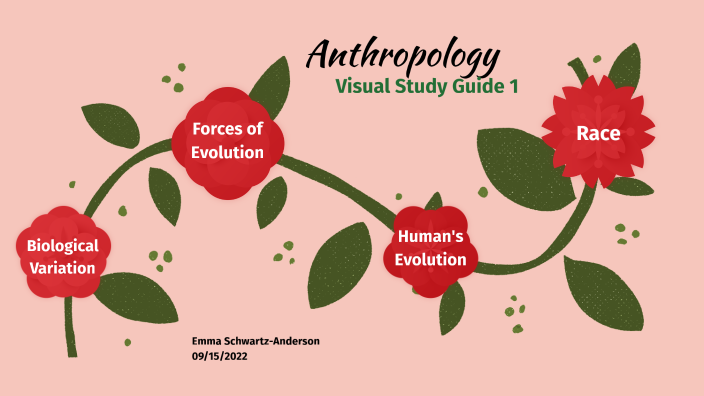 Anthropology Visual Study Guide by Emma Schwartz-Anderson on Prezi