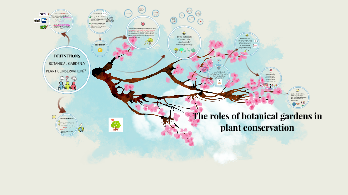 The roles of botanical gardens in plant conservation by atikah zulkipli