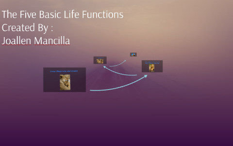 The Five Basic Life Functions by REBECCA BAGGETT on Prezi