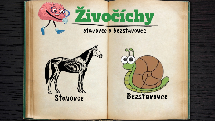Živočíchy - stavovce a bezstavovce by Sarah Tetliakova on Prezi