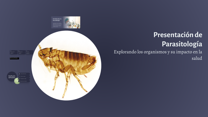 Presentación de Parasitología by Natividad Torres on Prezi
