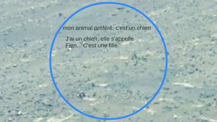 mon animal prefere by Sanderijn Hische on Prezi