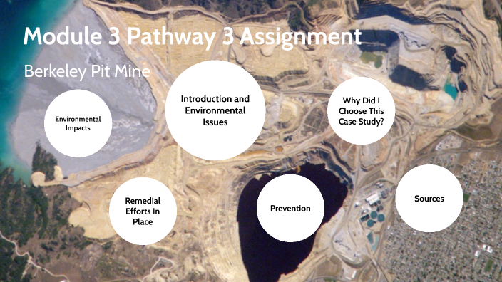 Module 3 Pathway 3 Assignment by Cora Goforth on Prezi